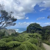 Mercer Bay Loop Track, Auckland, New Zealand - 513 Reviews, Map | AllTrails