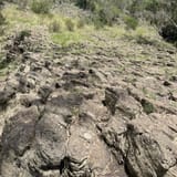 Organ Pipes, Rosette Rock and Tesselated Pavement Circuit, Victoria ...