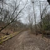 Cedarvale Ravine Trail, Ontario, Canada - 294 Reviews, Map | AllTrails