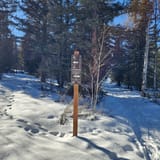 Interlaken Trail, Colorado - 1,753 Reviews, Map | AllTrails