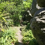 Labyrinth Rocks Park Walk, Nelson-Tasman, New Zealand - 47 Reviews, Map ...