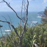 Mercer Bay Loop Track, Auckland, New Zealand - 513 Reviews, Map | AllTrails