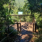 Witches Falls Circuit, Queensland, Australia - 544 Reviews, Map | AllTrails