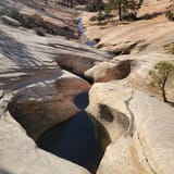 Many Pools Trail, Utah - 1,267 Reviews, Map | AllTrails