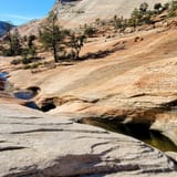 Many Pools Trail, Utah - 1,267 Reviews, Map | AllTrails
