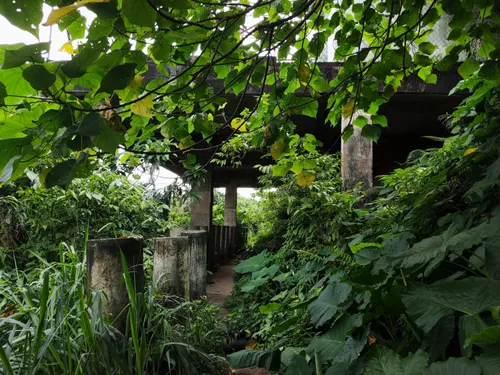Best Waterfall Trails in Bukit Gasing Forest Park | AllTrails