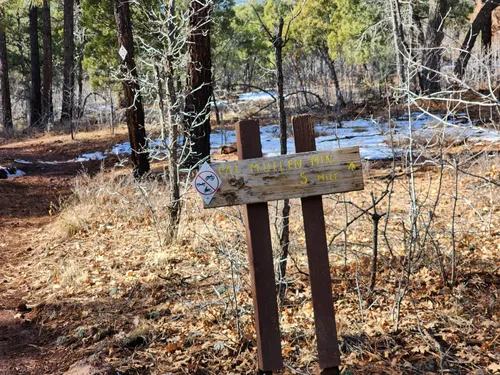 Best Hikes and Trails in Pinetop-Lakeside | AllTrails