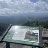 Buffalo Mountain Trail, Virginia - 652 Reviews, Map | AllTrails