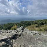 Buffalo Mountain Trail, Virginia - 652 Reviews, Map | AllTrails
