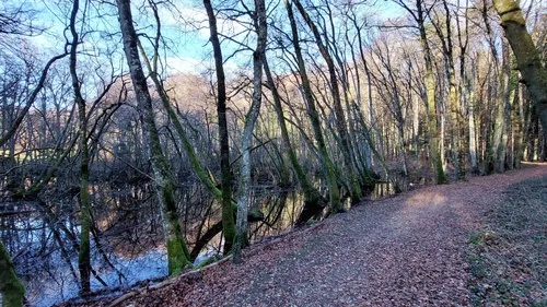 Réserve Bois de Chêne: de beste routes om te wandelen | AllTrails