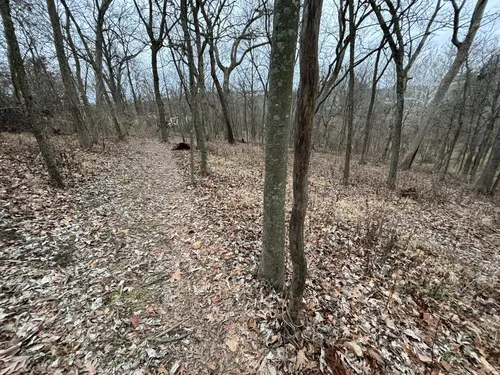 Best Hikes and Trails in Phantom Forest Conservation Area | AllTrails