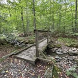 Mount Elmore , Vermont - 1,248 Reviews, Map | AllTrails