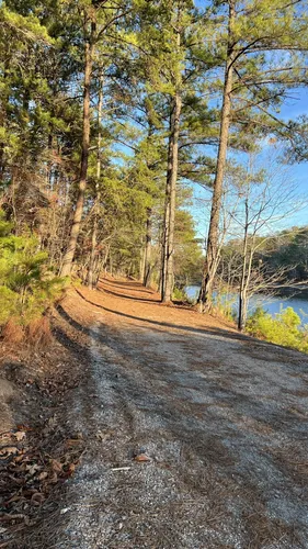 Best Hikes and Trails in Minooka Park | AllTrails