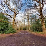 Petts Wood and Hawkwood Circular, London, England - 197 Reviews, Map ...