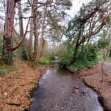 Petts Wood and Hawkwood Circular, London, England - 197 Reviews, Map ...