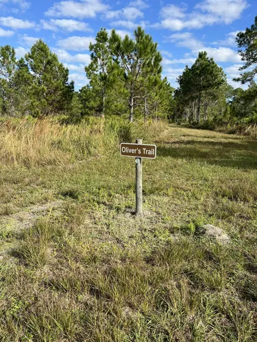Best Hikes and Trails in Hilochee Wildlife Management Area | AllTrails