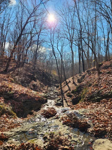 Best Hikes and Trails in The Nature Institute, John N Olin Nature ...