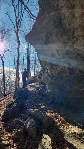 Best Hikes and Trails in The Nature Institute, John N Olin Nature ...