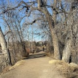 McKay Lake Trail, Colorado - 1,120 Reviews, Map | AllTrails