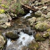Reeves Brook Loop Trail, New York - 4,689 Reviews, Map | AllTrails
