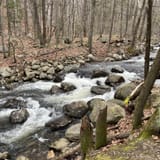 Reeves Brook Loop Trail, New York - 4,689 Reviews, Map | AllTrails