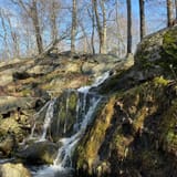 Reeves Brook Loop Trail, New York - 4,689 Reviews, Map | AllTrails