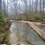 Rachel Carson Greenway Trail, Maryland - 1,045 Reviews, Map | AllTrails