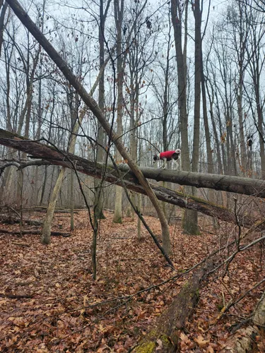 Best Hikes and Trails in State Game Lands Number 145 | AllTrails