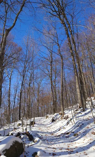 Best Hikes and Trails in Parc des Chutes de Denholm | AllTrails