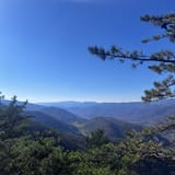 Redman Run Trail, West Virginia - 130 Reviews, Map | AllTrails