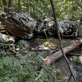 Jones Run Falls Trail, Virginia - 787 Reviews, Map | AllTrails