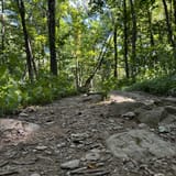 Jones Run Falls Trail, Virginia - 787 Reviews, Map | AllTrails
