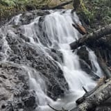 Mima Falls Loop, Washington - 1,410 Reviews, Map | AllTrails