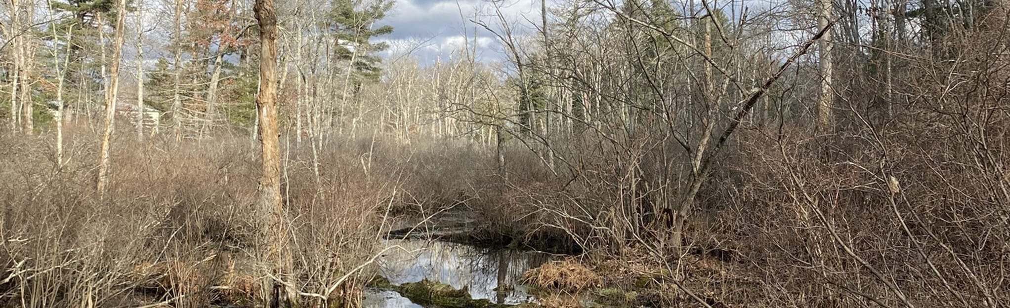 Martha Deering WMA from Riverlin Street, Massachusetts - 209 Reviews ...