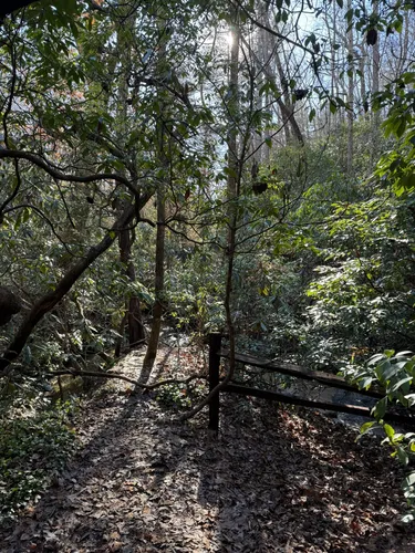 Best Hikes and Trails in Devils Fork State Park | AllTrails
