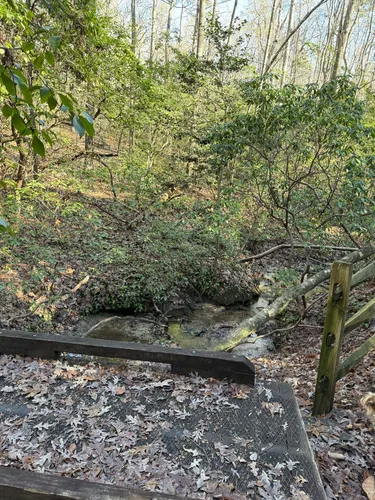 Best Hikes and Trails in Devils Fork State Park | AllTrails