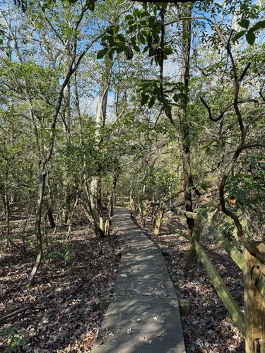Best Hikes and Trails in Devils Fork State Park | AllTrails