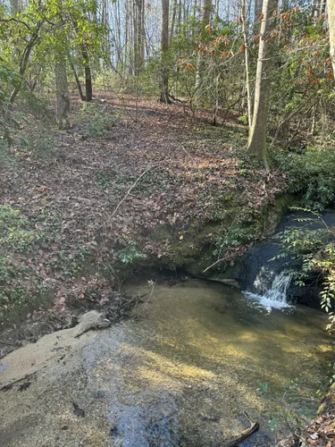 Best Hikes and Trails in Devils Fork State Park | AllTrails