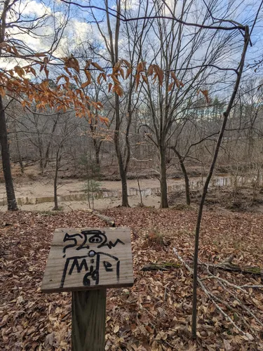 Best Hikes and Trails in Carl Alwin Schenck Memorial Forest | AllTrails