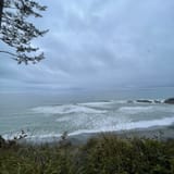 Kalaloch 4th Beach Trail, Washington - 390 Reviews, Map | AllTrails