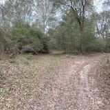 Cardinal Trail, Texas - 25 Reviews, Map | AllTrails