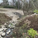 Cardinal Trail, Texas - 25 Reviews, Map | AllTrails