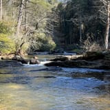 Cartecay River Loop Trail, Georgia - 1,883 Reviews, Map | AllTrails