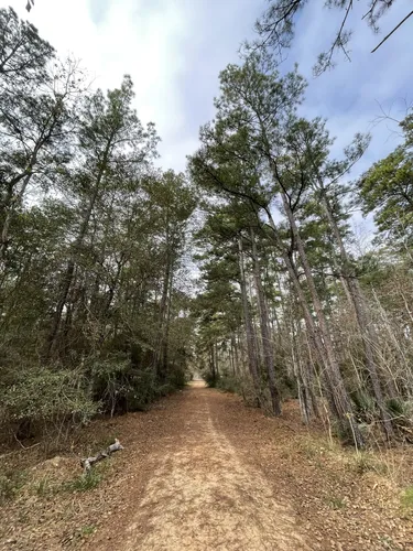 Best Hikes and Trails in Conroe | AllTrails