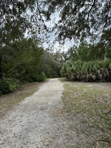 Best Hikes and Trails in Sand Key Park | AllTrails
