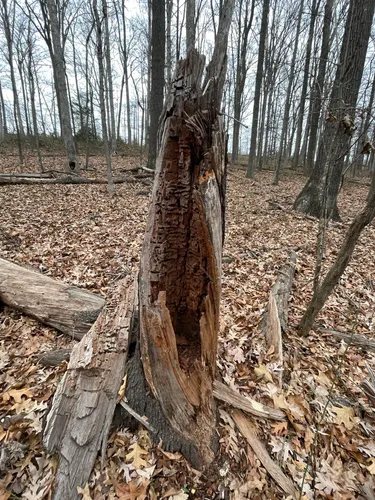 Best Hikes and Trails in Claude Moore Park | AllTrails