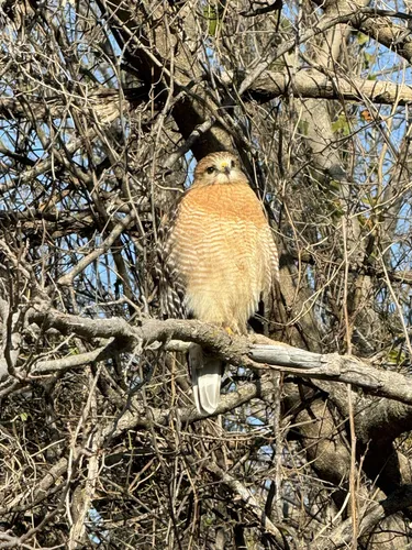 Best Hikes and Trails in Sopac Trail | AllTrails