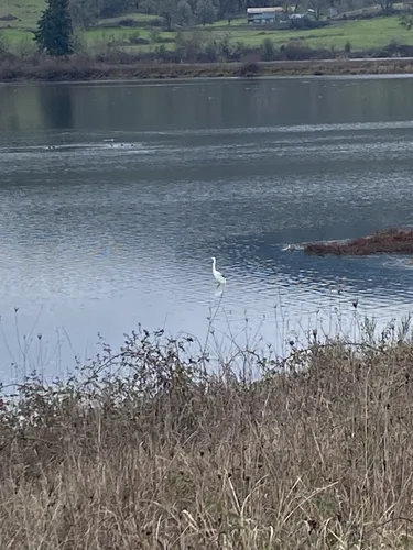 Best Hikes and Trails in Ford's Pond | AllTrails