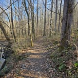 Walls of Jericho Trail, Alabama - 2,212 Reviews, Map | AllTrails