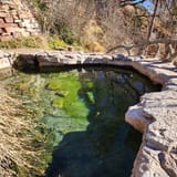 Carlito Springs Loop, New Mexico - 462 Reviews, Map | AllTrails